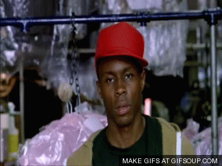 GIF staring - animated GIF on GIFER