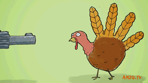 Gif De Pavo Bailando Tumblr GIFs De Pavos 73 Imágenes Animadas De