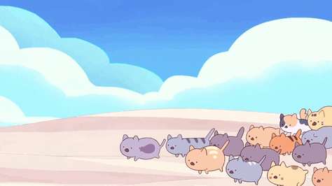 GIF stampede cats bee and puppycat - animated GIF on GIFER