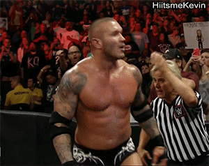 GIF randy orton - animated GIF on GIFER