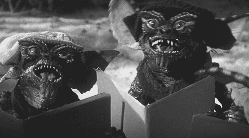 Gremlins GIF - Find on GIFER