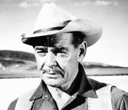 GIF fila clark gable the misfits - GIF animado em GIFER