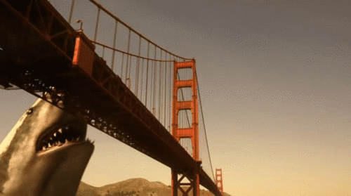 San francisco GIF - Find on GIFER