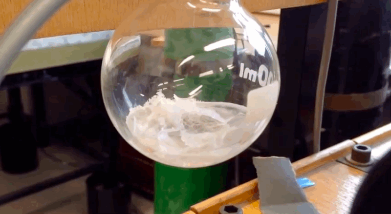 Same GIF - Find on GIFER