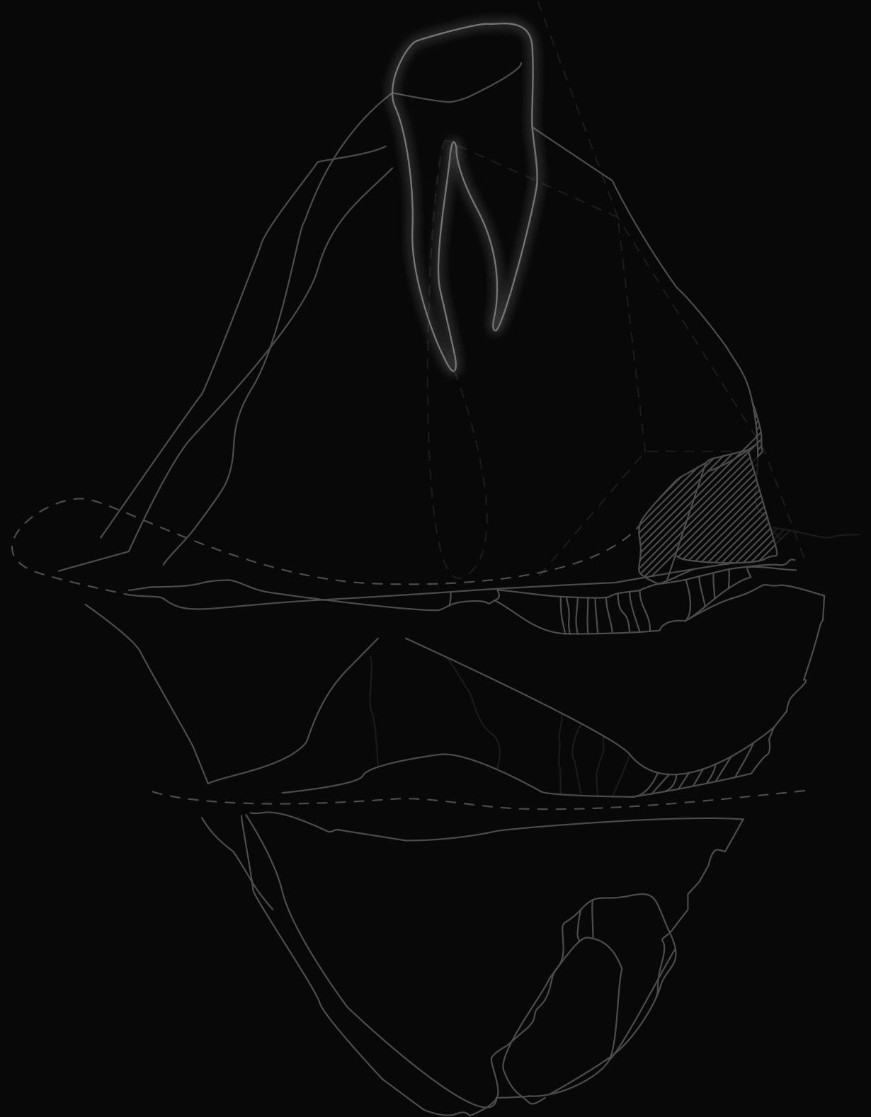 GIF treadmill - animated GIF on GIFER