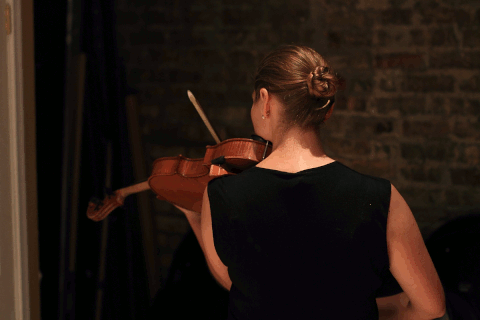 Violin GIF - Find on GIFER