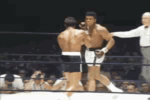 Muhammad ali GIF - Find on GIFER