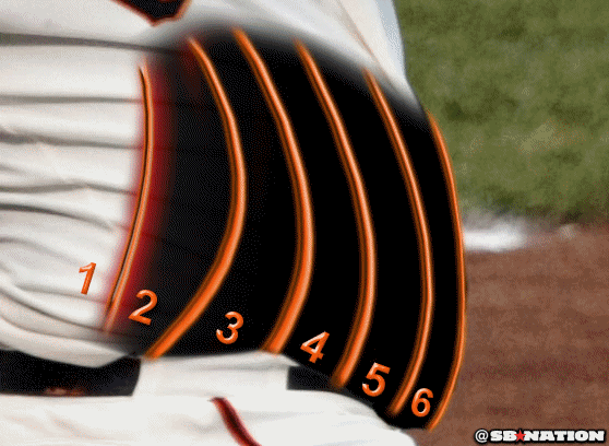 Fat GIF - Find on GIFER