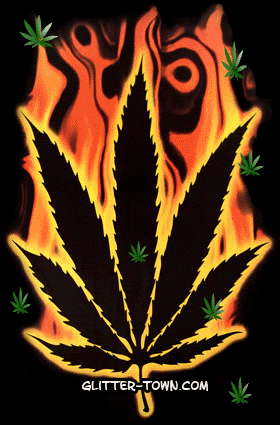 Marijuana GIF - Find on GIFER