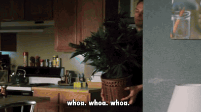 Dada funny movie GIF - Find on GIFER