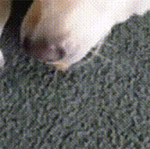 Dont eat that GIF - Find on GIFER