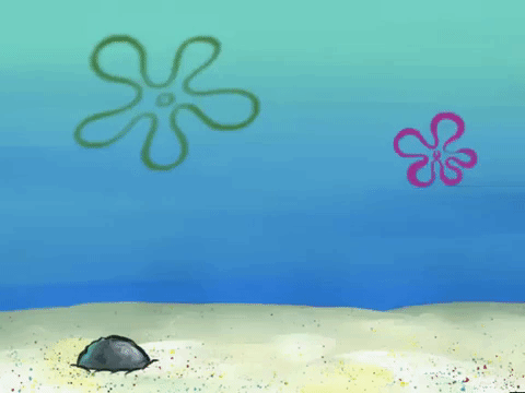 Spongebob squarepants season 6 GIF - Find on GIFER
