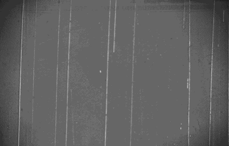 Meerkat GIF - Find on GIFER