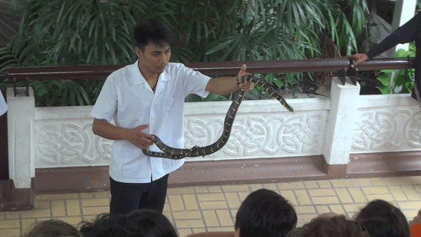 Open knowledge GIF - Find on GIFER