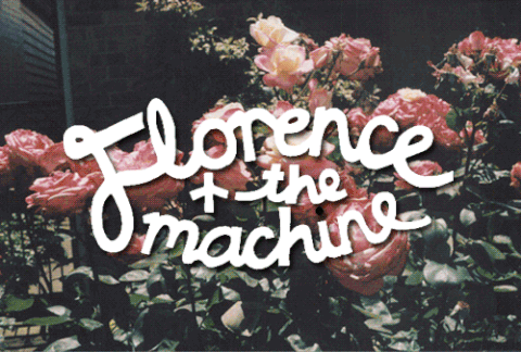 GIF florence and the machine - animated GIF on GIFER