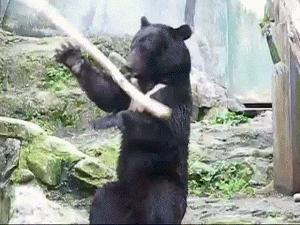 Cansado fatiga GIF - Encontrar en GIFER