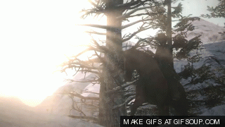 Observer verse s5 picspam GIF - Encontrar em GIFER