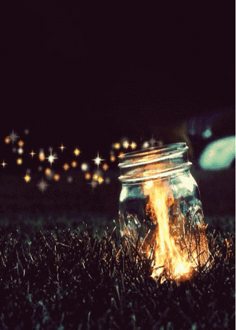 Installation GIF - Find on GIFER