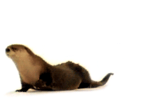 Front page GIF - Find on GIFER