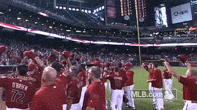 GIF mlb arizona diamondbacks - animated GIF on GIFER