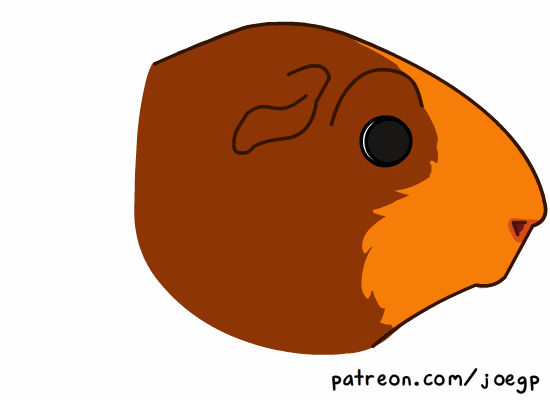 Head GIF - Find on GIFER