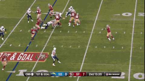 San francisco 49ers GIF - Find on GIFER