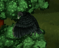 Mine bvs GIF - Find on GIFER