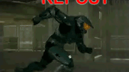 GIF nutshell - animated GIF on GIFER