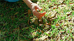 Obsessed GIF - Find on GIFER