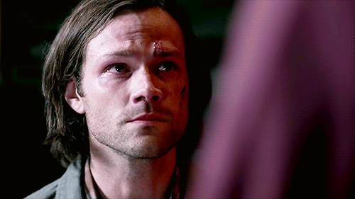Spn GIF - Find on GIFER