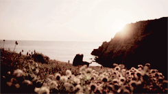 Poldark demelza GIF - Find on GIFER