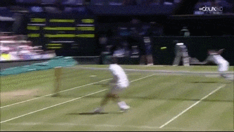 Novak djokovic GIF - Find on GIFER