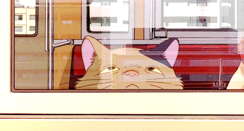 Woth GIF - Find on GIFER