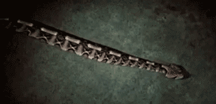 Snake reptile animal GIF - Find on GIFER