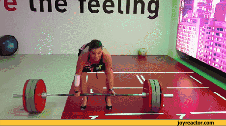 Weights GIF - Find on GIFER
