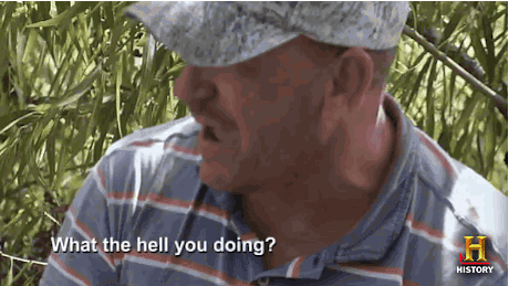 Homestuck Gifs Gamzee