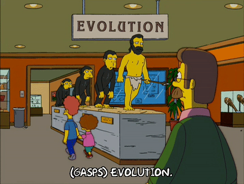 Evolution ned flanders GIF - Find on GIFER