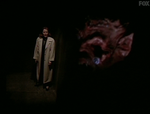 Xfiles the x files GIF - Find on GIFER