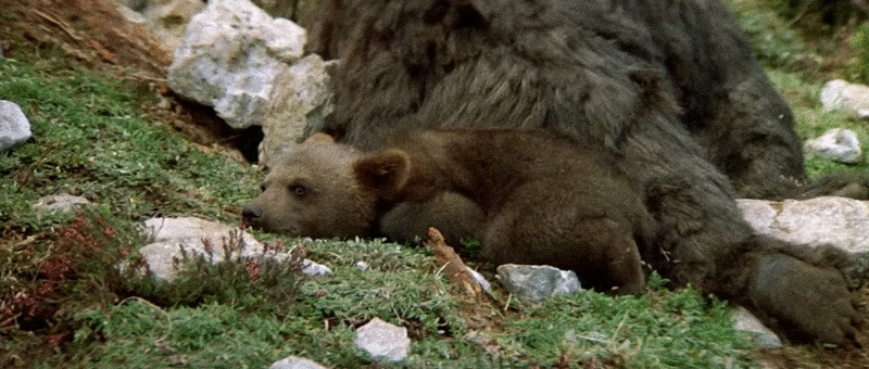 Film features GIF - Find on GIFER