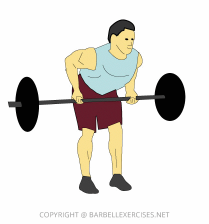 Exercising GIF - Find on GIFER