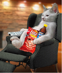 GIF relaxing - animated GIF on GIFER