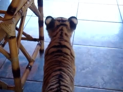 Fallout GIF - Find on GIFER