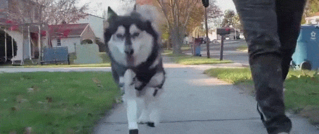 Prosthetics GIF - Find on GIFER