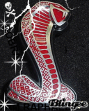 Glitch max capacity zx GIF - Find on GIFER