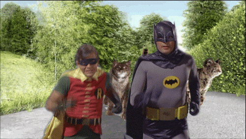 Spartacus war of the damned GIF - Find on GIFER