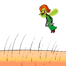 GIF mosquito - animated GIF on GIFER