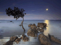 Dw GIF - Find on GIFER