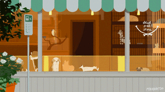 Animation dogs 2d animation GIF - Find on GIFER