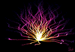 The tree of life GIF - Find on GIFER
