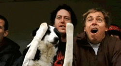Jackass filme pelicula GIF - Encontrar em GIFER